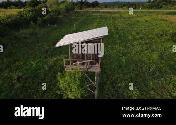 Raised animal Stock Videos & Footage - HD and 4K Video Clips - Alamy