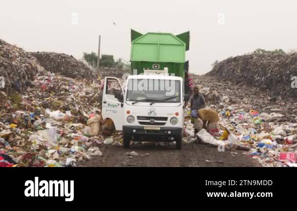 People using stick to remove garbage from a truck In a land filled area ...