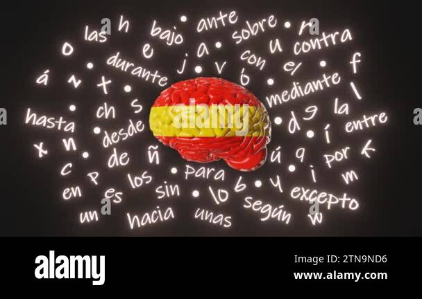 Spanish Learning Foreign language Human brain Spain flag color Letters ...