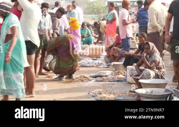 Indian citizens selling and buying of fishes in a fish market - Chirala ...