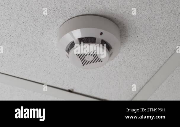 Smoke detector mounted on a suspended ceiling with blinking red LED ...
