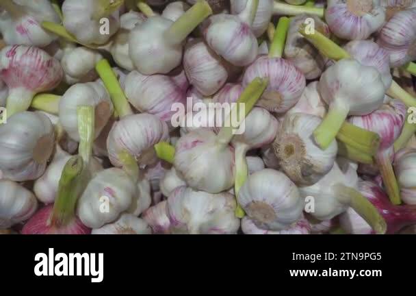 Garlic on market Stock Videos & Footage - HD and 4K Video Clips - Alamy