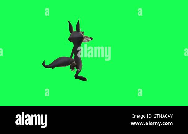 3D animation of a wolf cartoon character on a green screen looking ...
