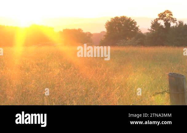 Sunset countryside Stock Videos & Footage - HD and 4K Video Clips - Alamy