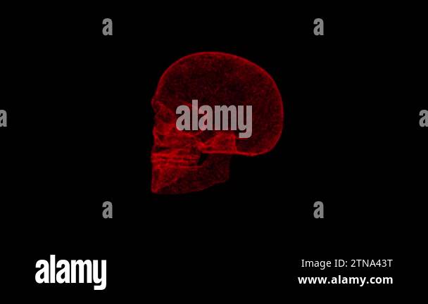 3d Human Skull Rotates On Black Background Object Dissolved Red Flickering Particles 60 Fps