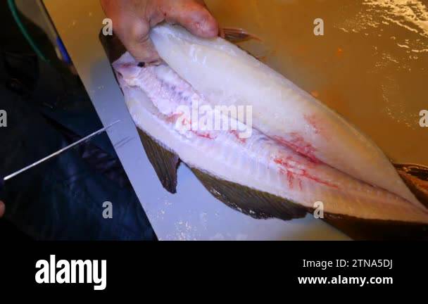 Worker cleaning and filleting fresh sea cod fish in a family factory ...