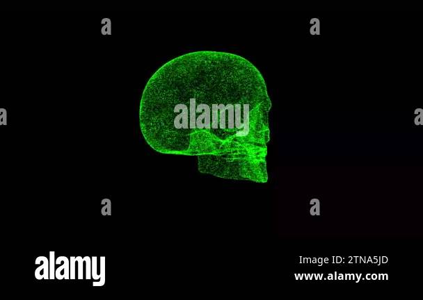 3d Human Skull Rotates On Black Background Object Dissolved Green Flickering Particles 60 Fps
