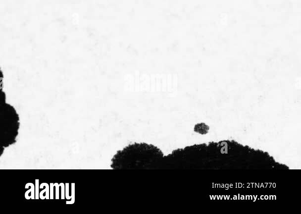 white smoke powder explosion fluid ink paint particles slow motion ...