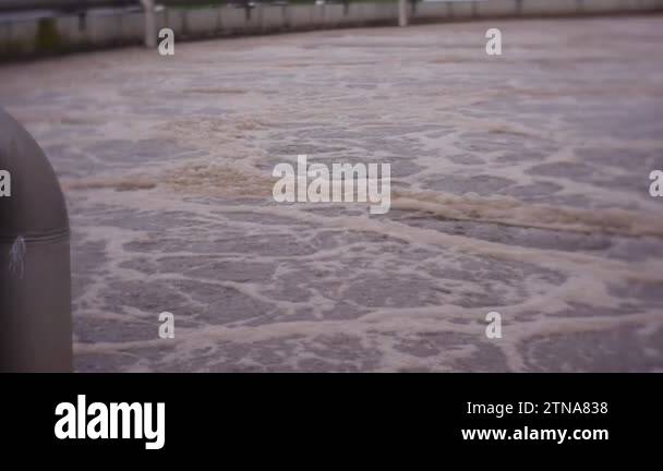 Pool With Dirty, Bubbling Water, Which Foams From Bacteria. One of the ...