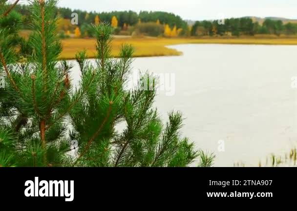 Spruce lake Stock Videos & Footage - HD and 4K Video Clips - Alamy