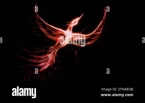 Flying phoenix bird as symbol of rebirth and new beginning. Loop ...