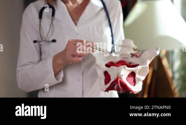 Doctor showing bones and muscles of pelvis of woman closeup 4k movie ...