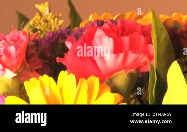 Rotating flower Stock Videos & Footage - HD and 4K Video Clips - Alamy