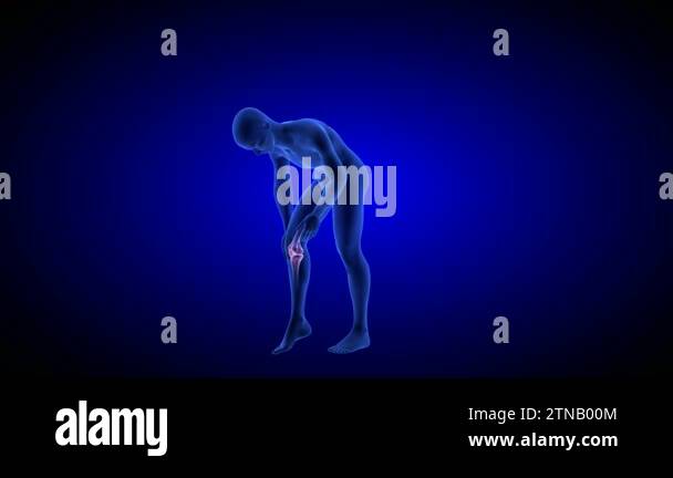 Knee Pain. Blue Human Anatomy Body 3D Scan render - rotating seamless ...