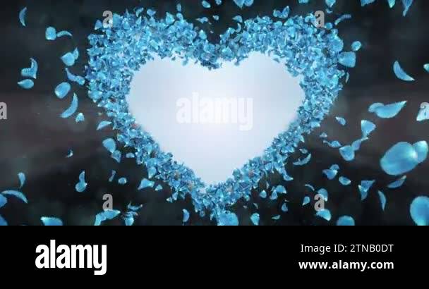 Blue Rose Flower Petals In Heart Shape Alpha Matte Loop Placeholder 4k ...