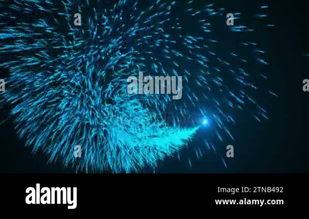Dancing Fireworks Particles Light Streak Looping Motion 4K resolution ...