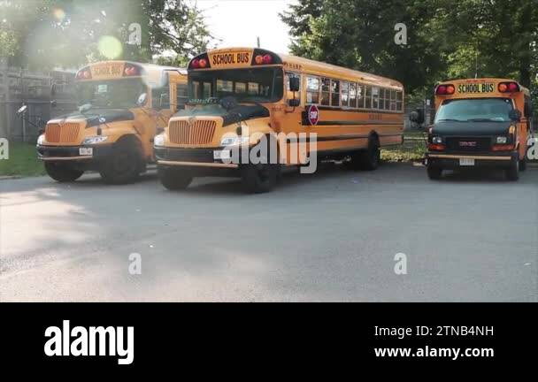 three parked sharp yellow and black school buses with black stripes ...