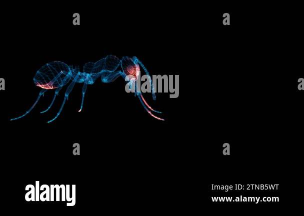3D Ant Scan. Ant Scanning Interface. HUD Ant analyze. Medical Science ...
