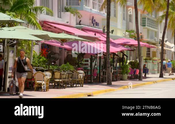 Miami mist Stock Videos & Footage - HD and 4K Video Clips - Alamy