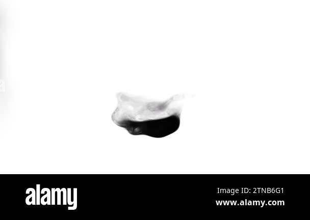 Organic ink motion effect Stock Videos & Footage - HD and 4K Video ...