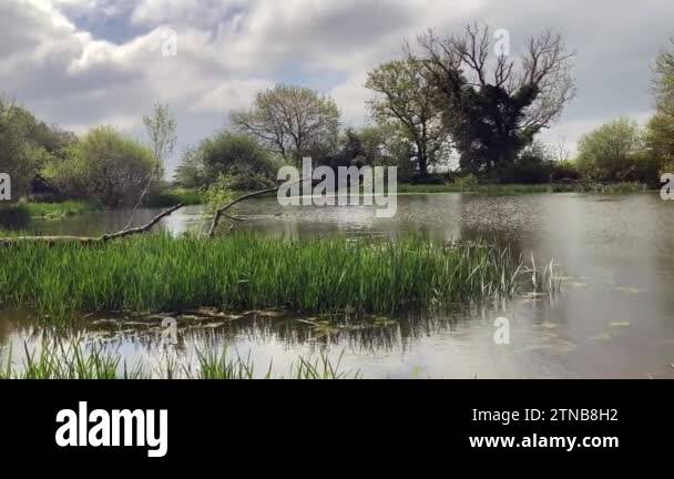 Castle croft Stock Videos & Footage - HD and 4K Video Clips - Alamy