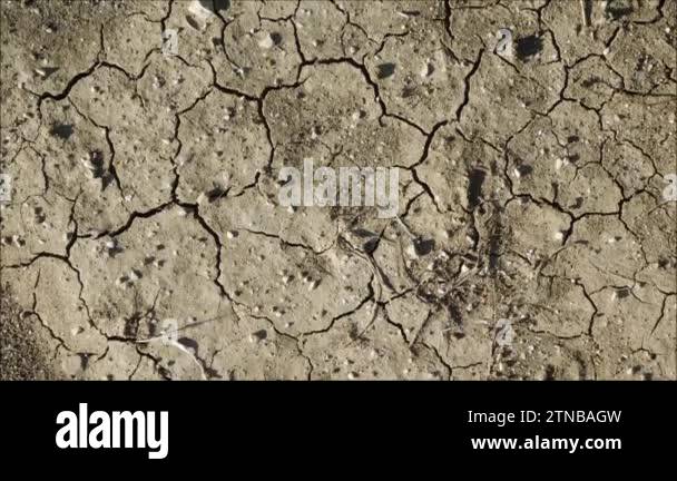 Arid climate texture Stock Videos & Footage - HD and 4K Video Clips - Alamy