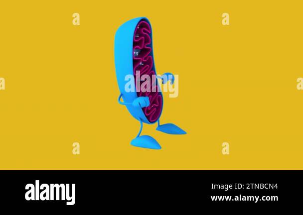 Mitochondria cartoon Stock Videos & Footage - HD and 4K Video Clips - Alamy
