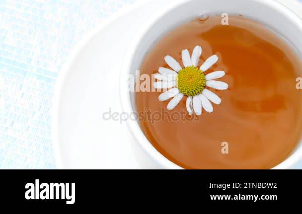 Cup of daisy tea Stock Videos & Footage - HD and 4K Video Clips - Alamy