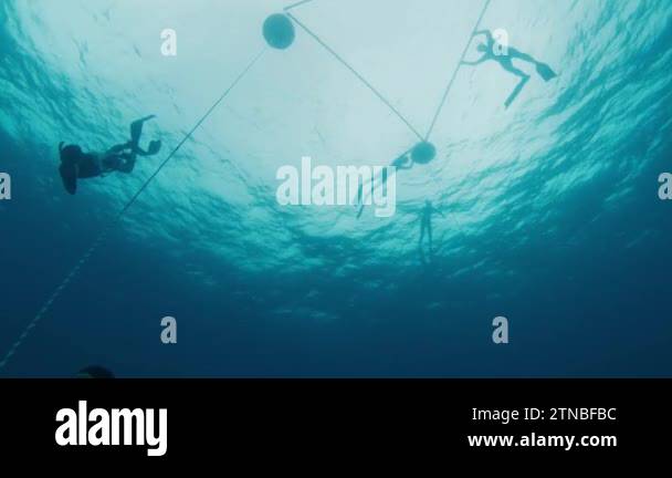 Safety freediver meets buddy from depth. Female free diver swims down ...