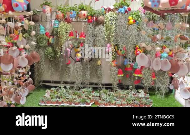 Perak, Malaysia.June 15, 2023 : Varieties of fresh decorative ...