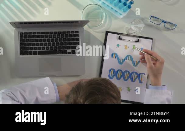 Laboratory worker studying structure of human DNA double helix, making ...