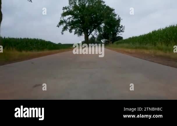 Point of View or pov of Car Driving Trees Stretch on Both Sides High ...