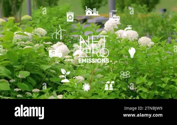 Net zero emission and carbon neutral concept. Net zero icons In Green ...