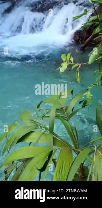 Cachoeira brazil Stock Videos & Footage - HD and 4K Video Clips - Alamy
