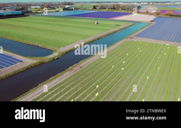 Polders in Netherlands with an irrigation system running across the ...