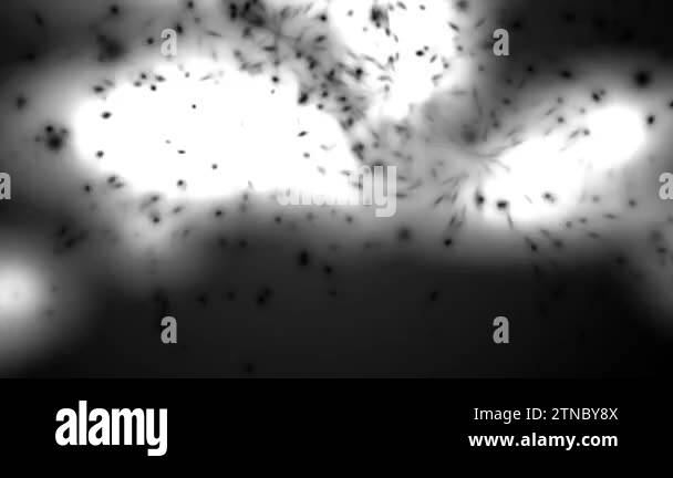 High Speed Flying Lines 3d Animation in Seamless Looping Traffic. Sci ...