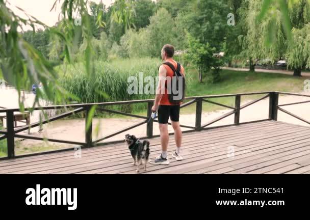Cute small dog and his owner playing together outdoors in park. Furry ...
