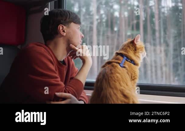 Cat train transport Stock Videos & Footage - HD and 4K Video Clips - Alamy