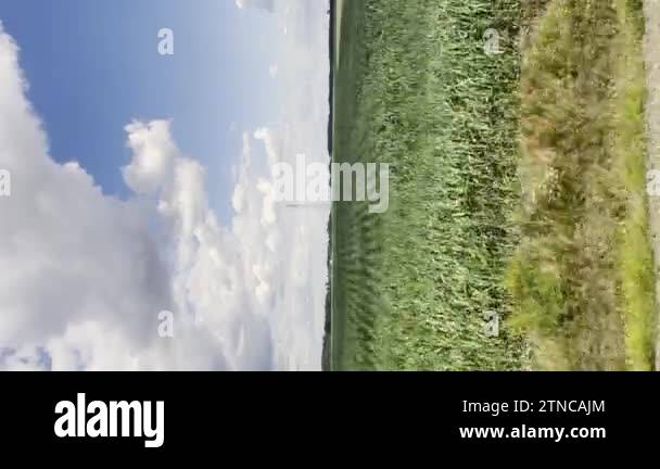 Bullet train side view Stock Videos & Footage - HD and 4K Video Clips ...