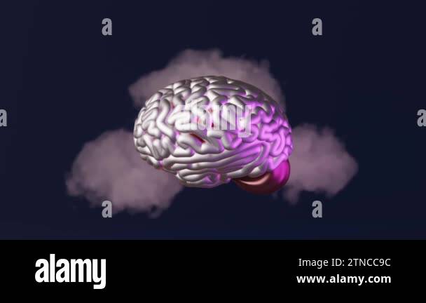 Mental stress brain Stock Videos & Footage - HD and 4K Video Clips - Alamy