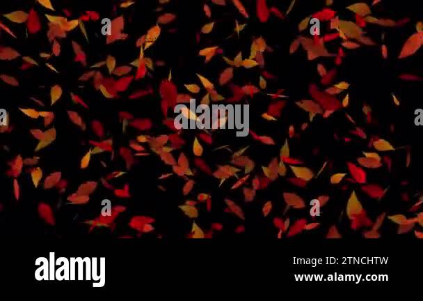 Unlocking the Beauty of Animated Floating Leaves. Add a romantic touch ...