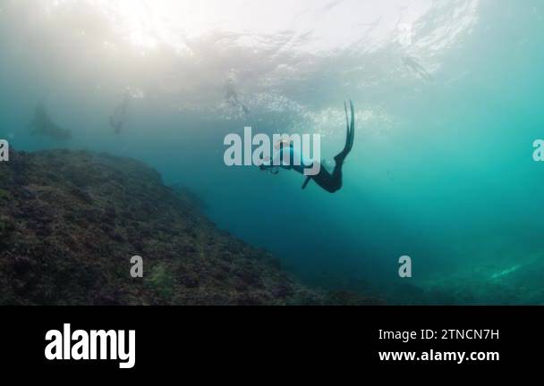 Underwater photographer takes picture of manta ray. Freediver with ...