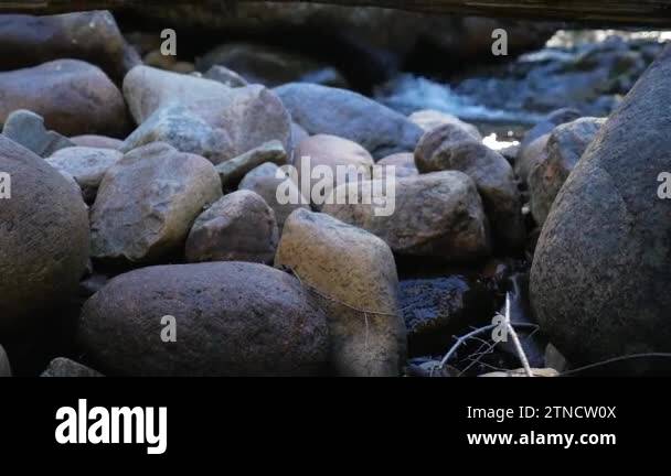 Rocks and log Stock Videos & Footage - HD and 4K Video Clips - Alamy