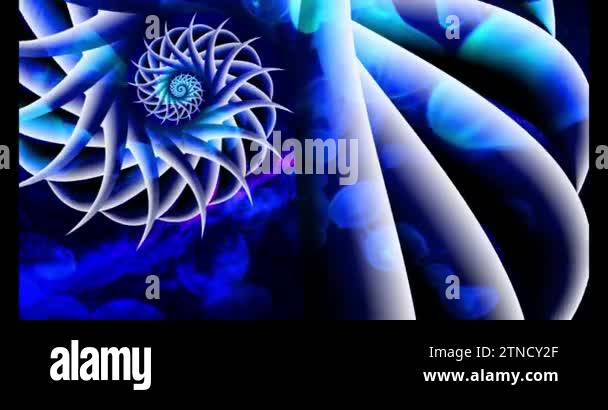 Fibonacci sequence geometric spiral Stock Videos & Footage - HD and 4K ...