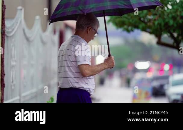 Back of senior man walking in the rain holding umbrella. Elderly mature ...