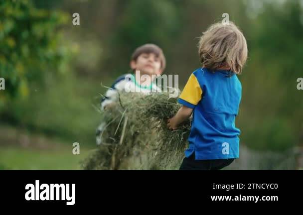 Little funny children playing with hay, grass, throw it up. Happy ...