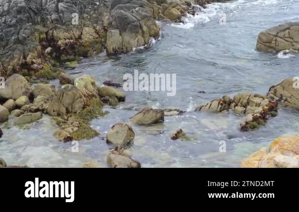 Waves crashing into a tide pool in the Monterey Bay, near Pacific Grove ...