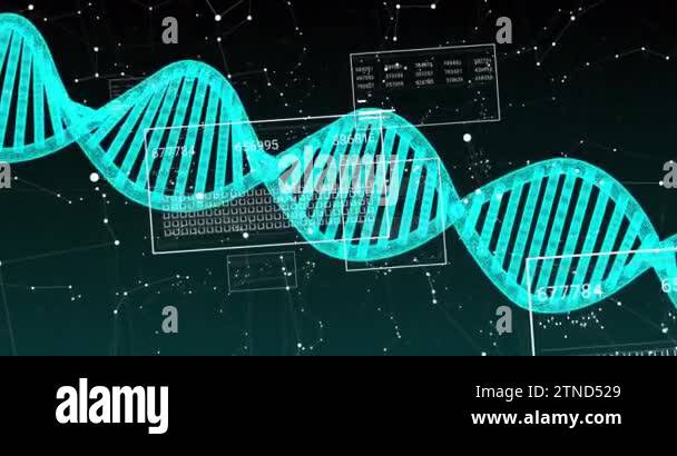 Animation Of Spinning Dna Structure Network Of Connections And Interface With Data Processing
