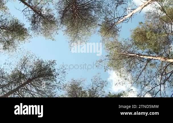 Rotate your head Stock Videos & Footage - HD and 4K Video Clips - Alamy