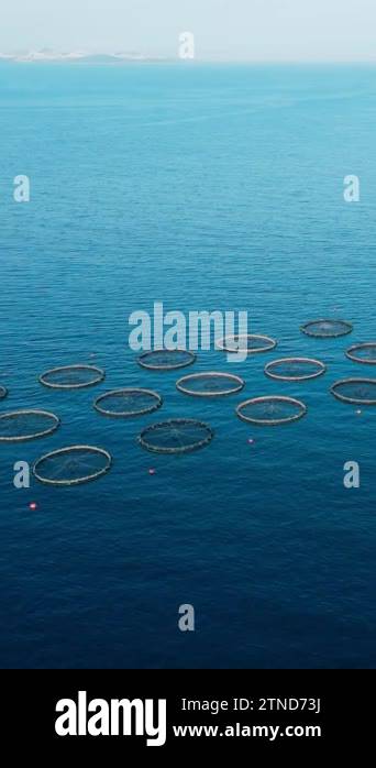 Fish farming cages in Stock Videos & Footage - HD and 4K Video Clips ...